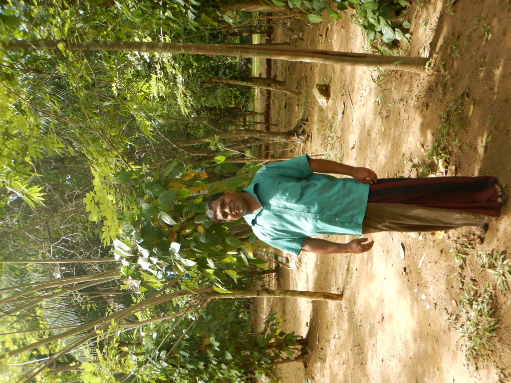 Palitha le gardien des arbres et des animaux | Jeunes en Projets en ...